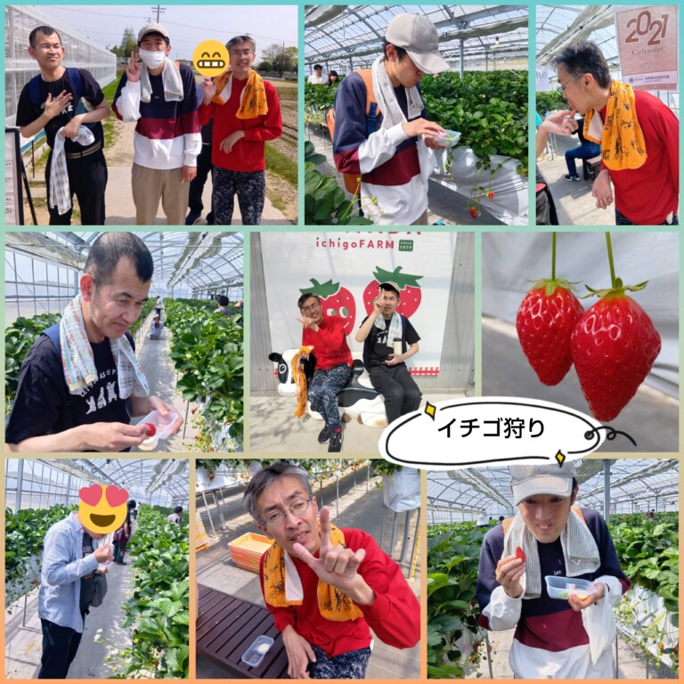 今年もイチゴ狩りに行ってきました！｜お知らせ｜cocotie（ココチエ）岡崎洞町